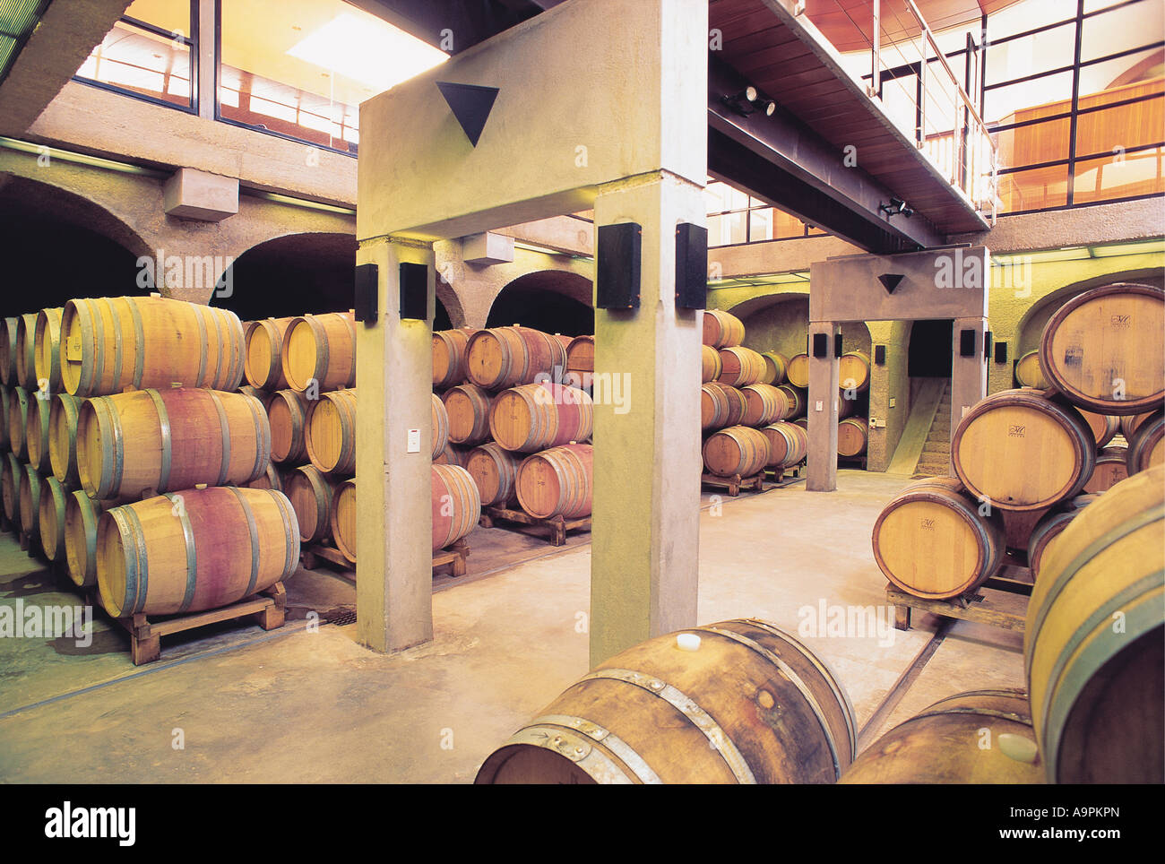 Vinviculture hi-res stock photography and images - Alamy