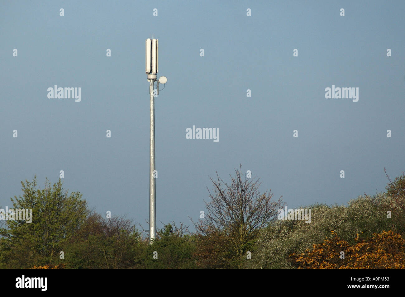 Cell Phone Mast Stock Photo - Alamy