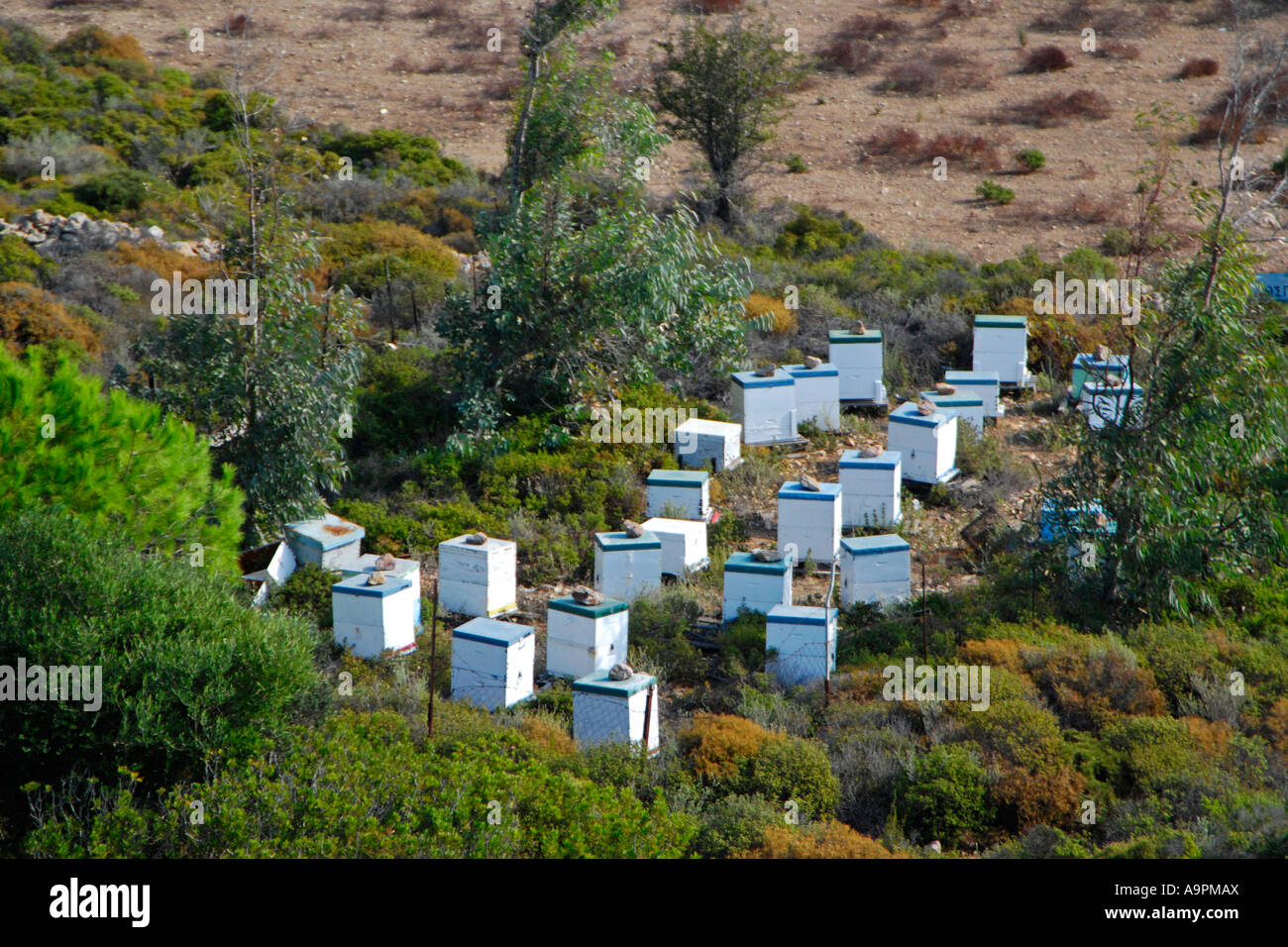 Beehives, Patmos, Greece Stock Photo - Alamy