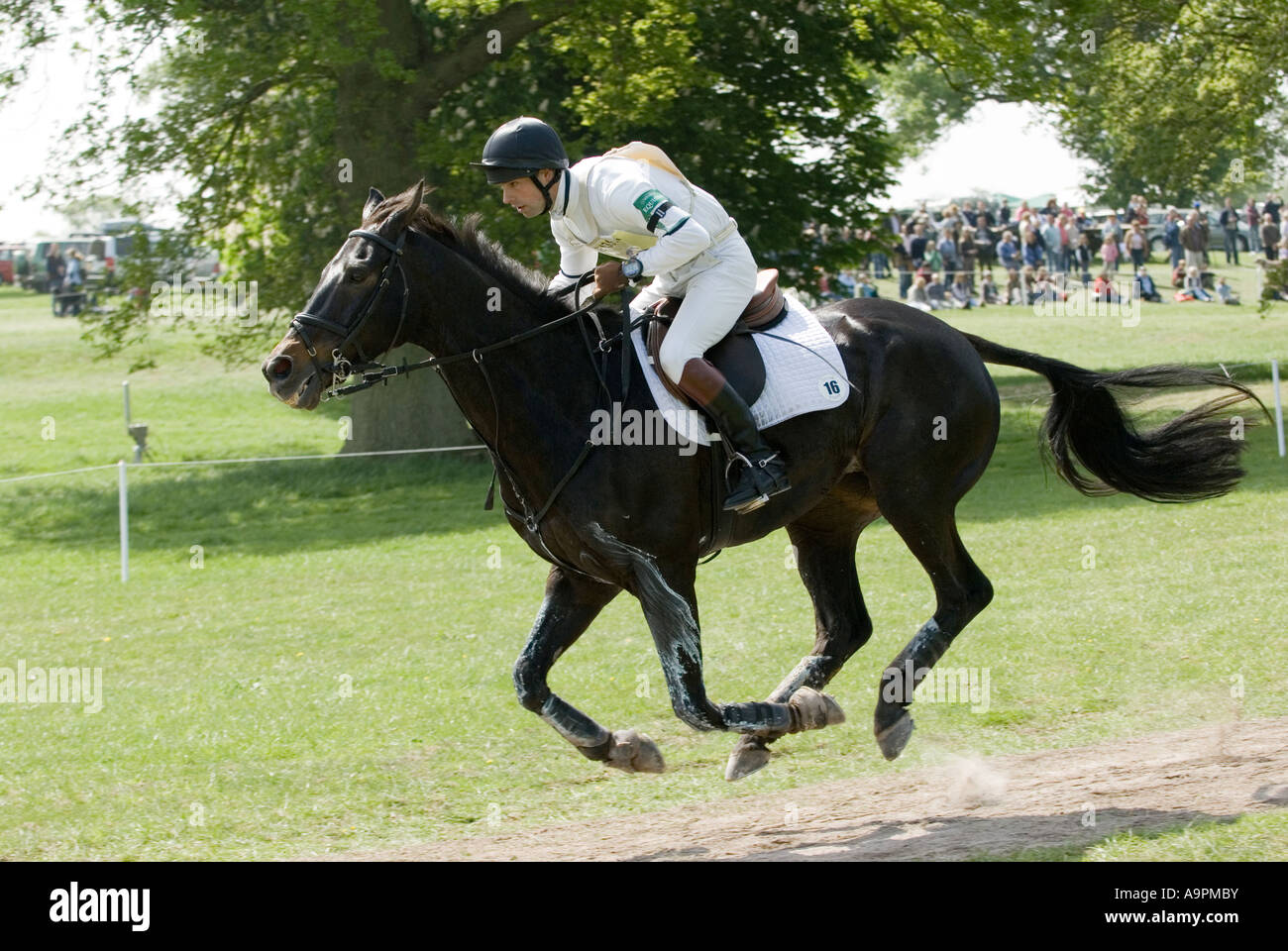 Harry meade hi-res stock photography and images - Alamy