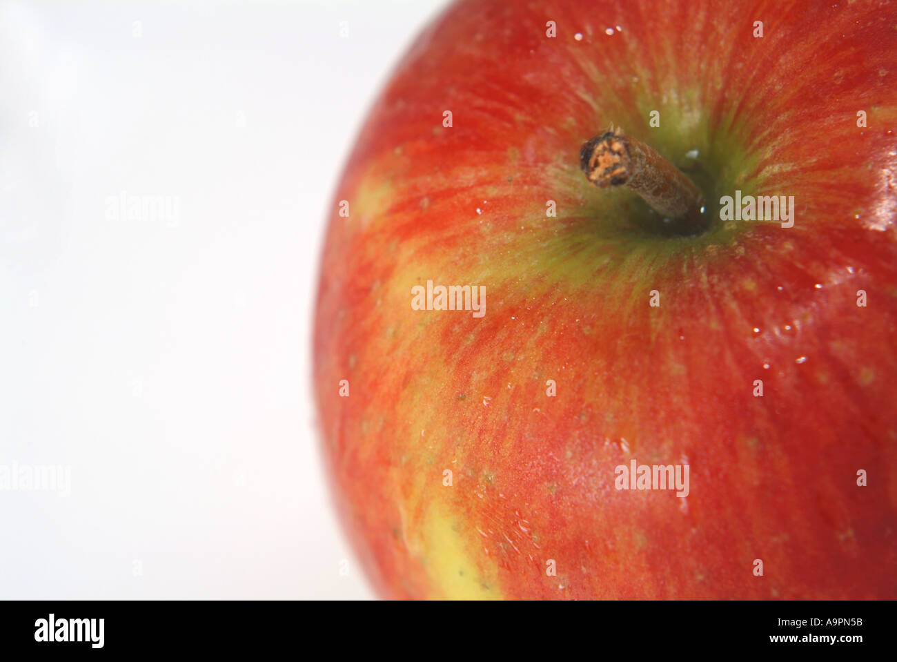 Red apple close up on white background Stock Photo - Alamy