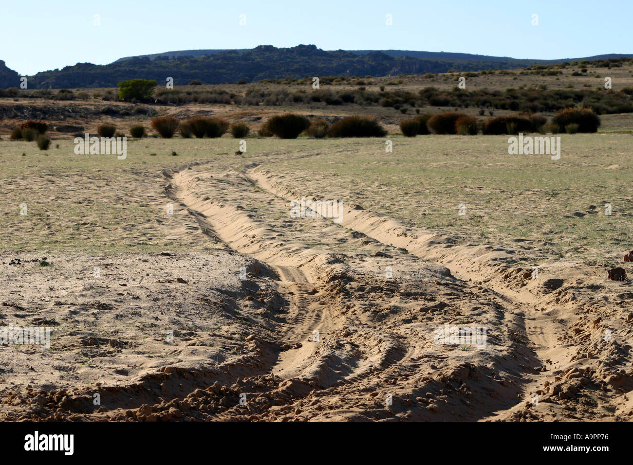 Dusty tracks road on a Farm Stock Photo - Alamy