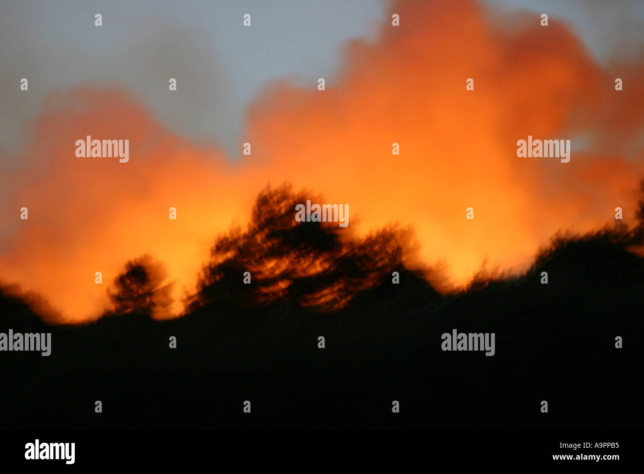 Simmer farm hi-res stock photography and images - Alamy