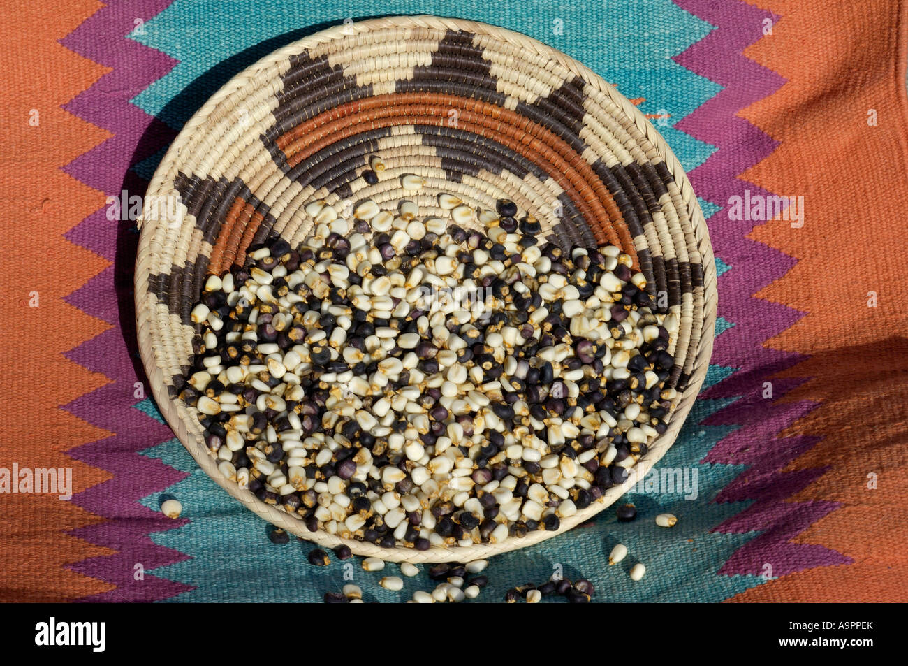Posole a form of dried maize, or hominy, in a Native American basket ...