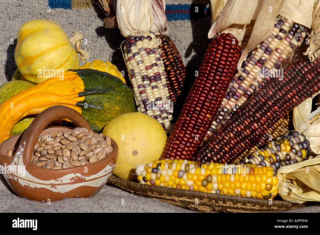 Native American Planting Corn