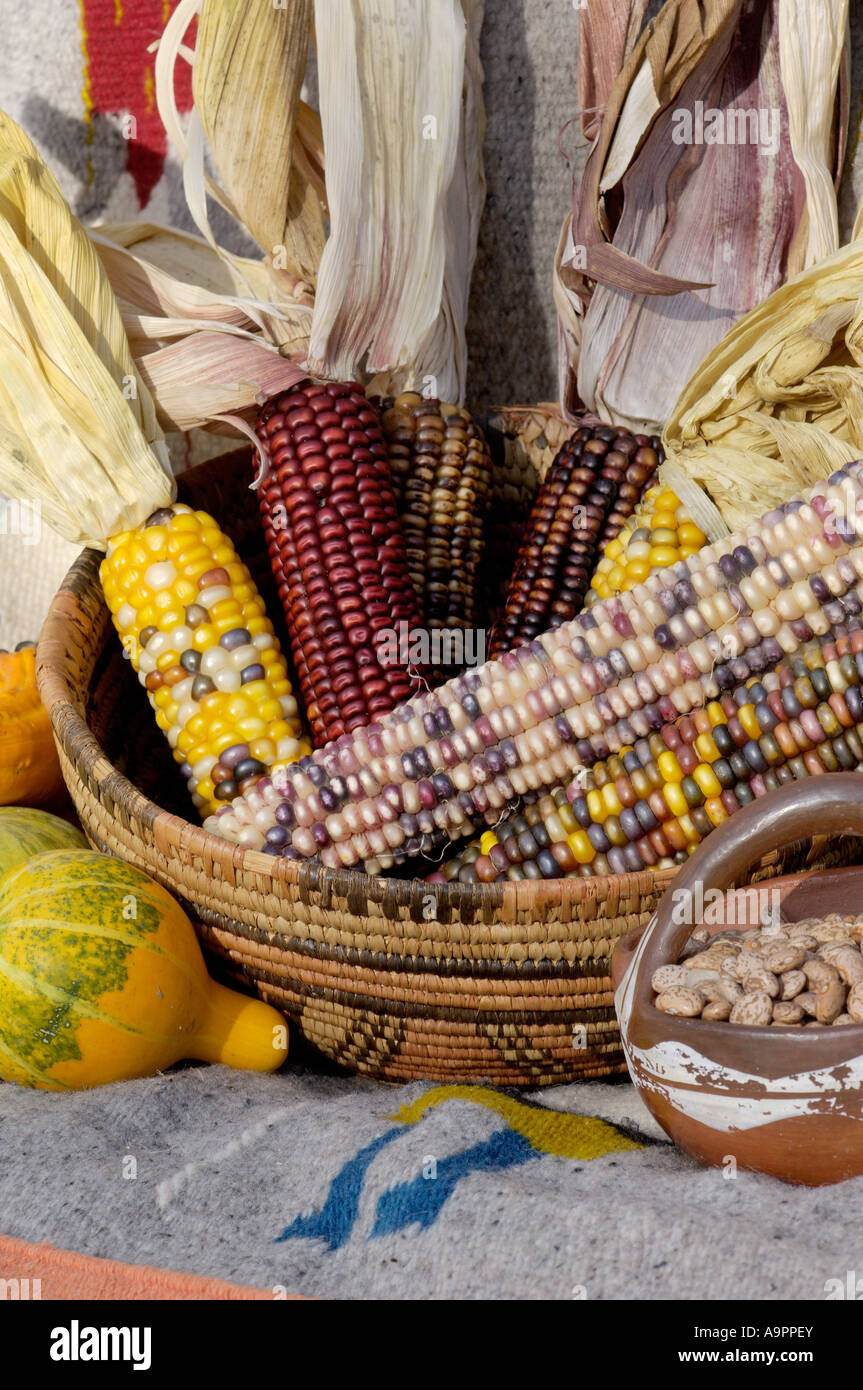 Squash, maize, and beans, the three sisters of Native American ...