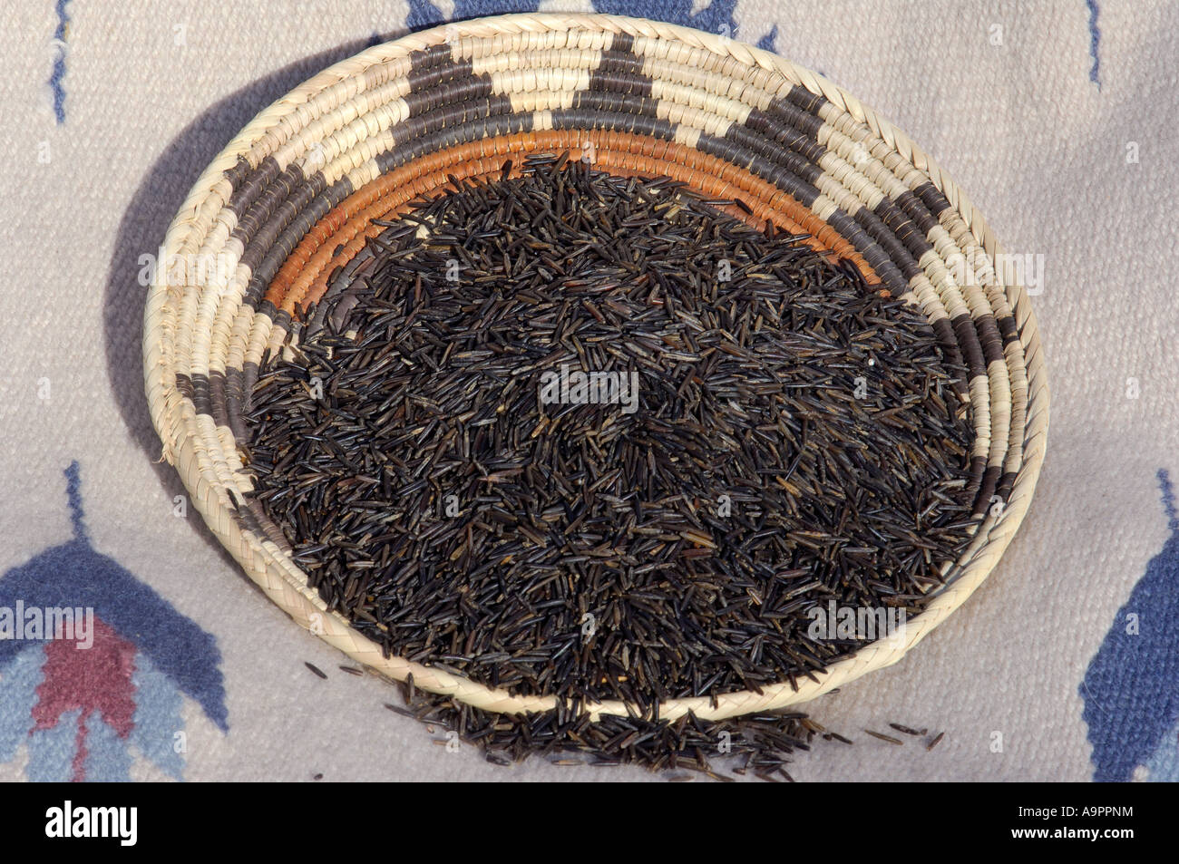 Wild rice minnesota hi-res stock photography and images - Alamy