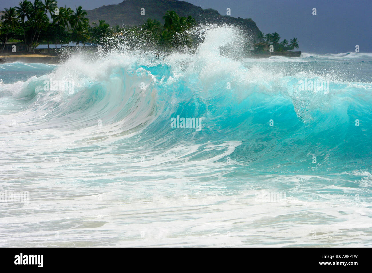 Blue wave on Oahu Hawaii Makaha beach Stock Photo - Alamy