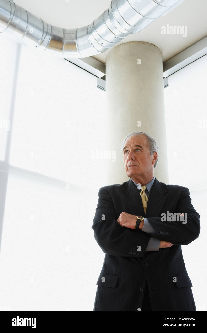 Portrait of a ceo Stock Photo - Alamy