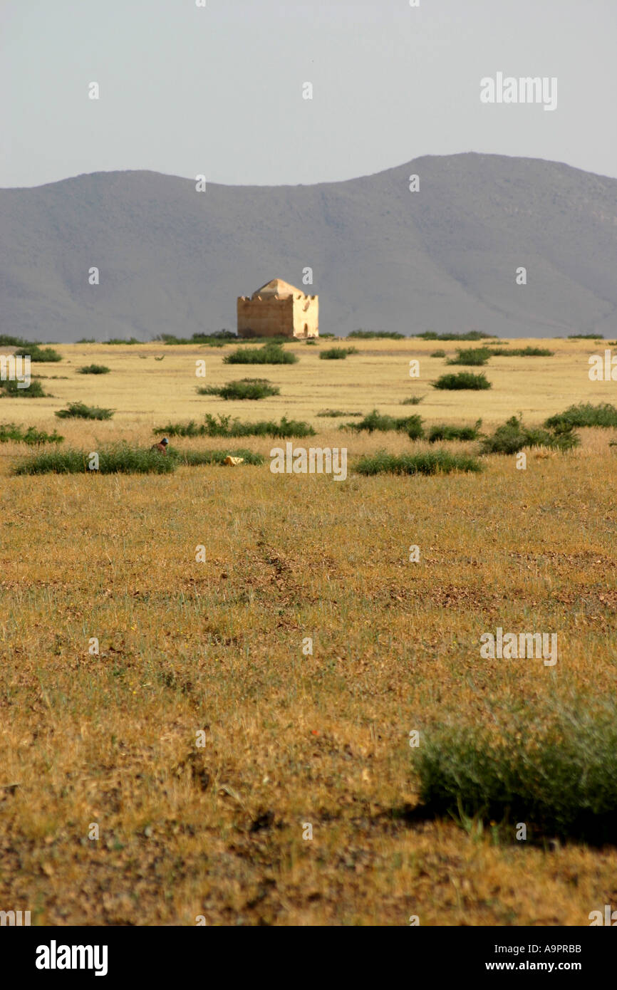 Small Mosque in Moroccan Field outside Marrakech Stock Photo - Alamy