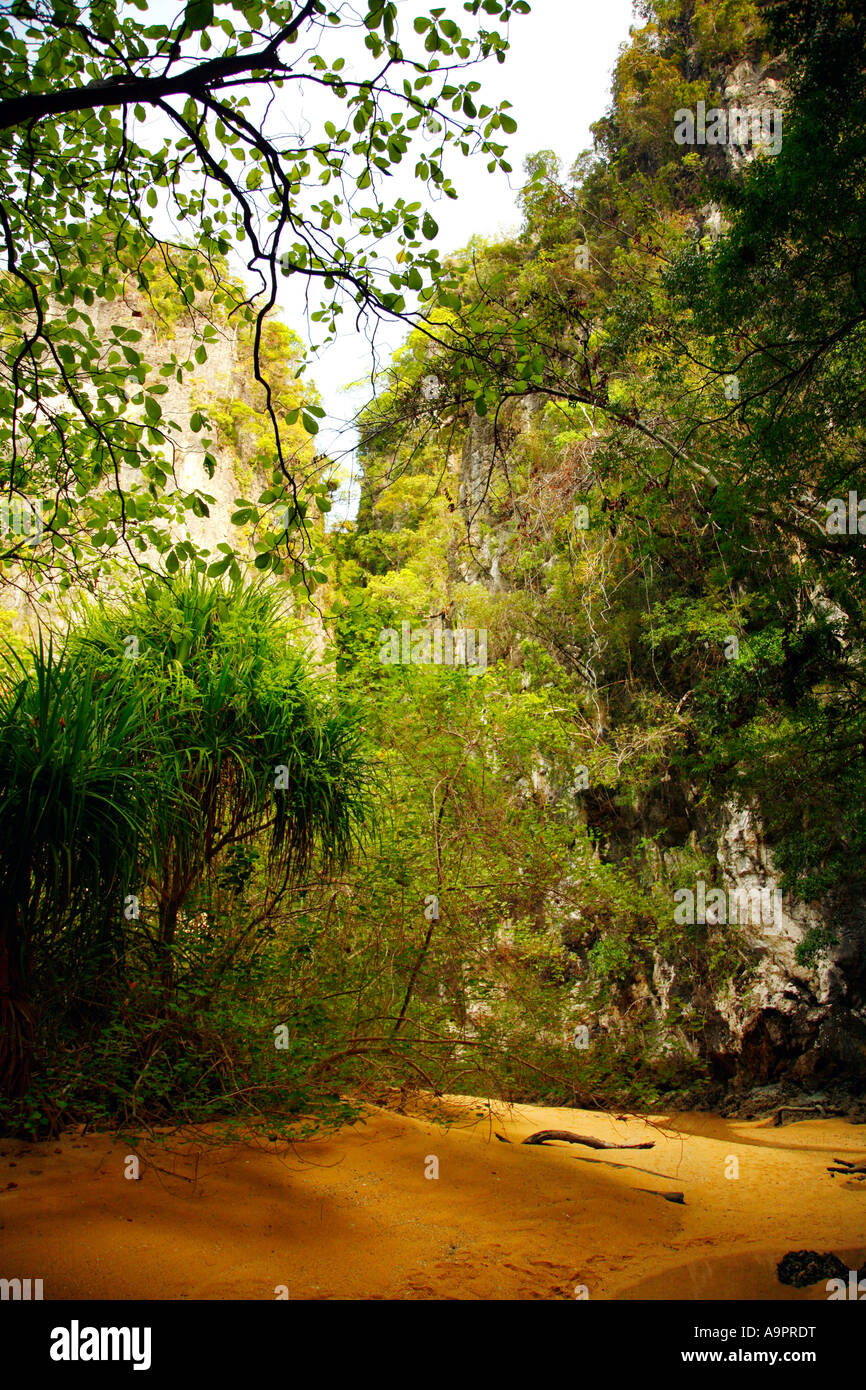 Inside a collapsed cave (hong), Ko (Koh) Roi, Andaman Sea, Thailand ...