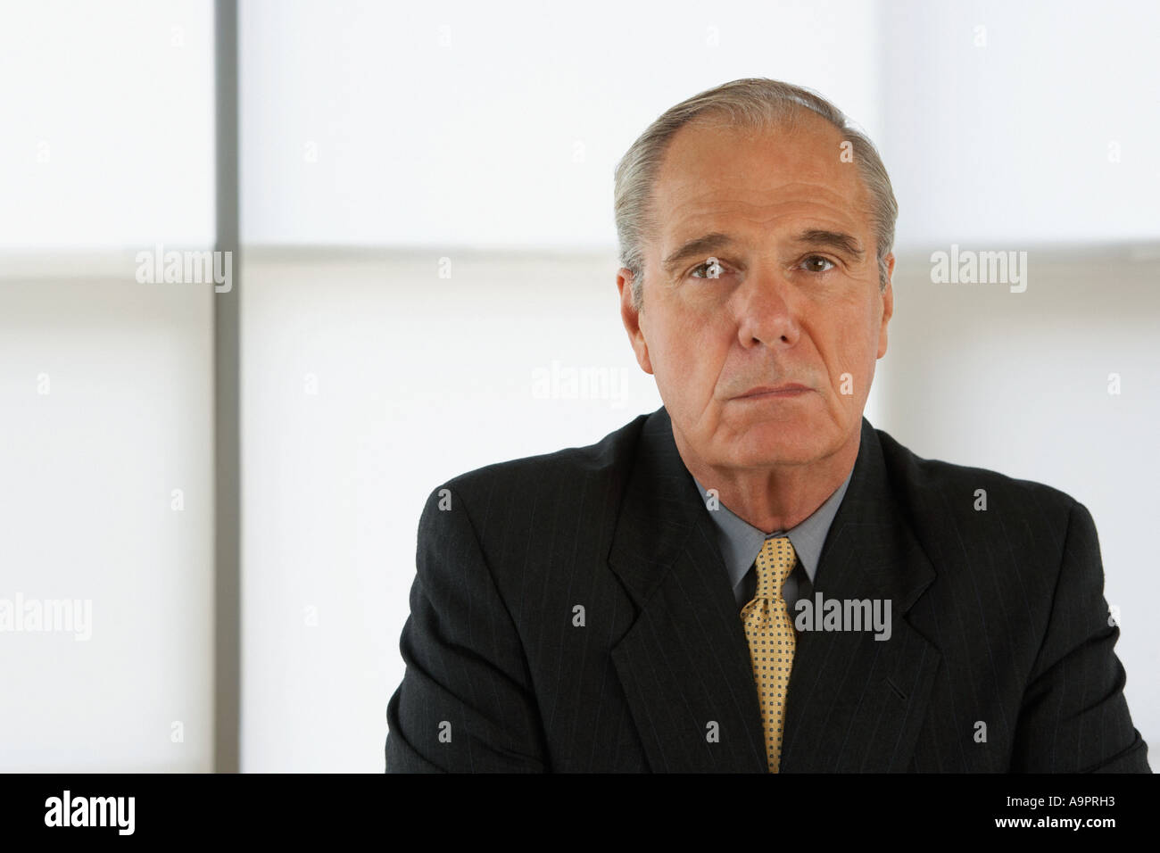 Portrait of a ceo Stock Photo - Alamy