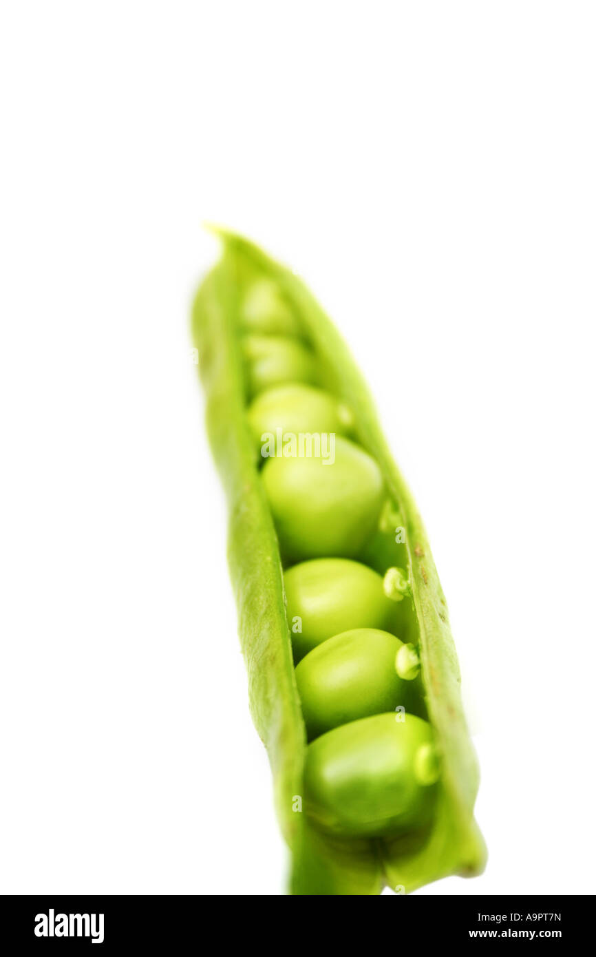 Enclosed pod hi-res stock photography and images - Alamy