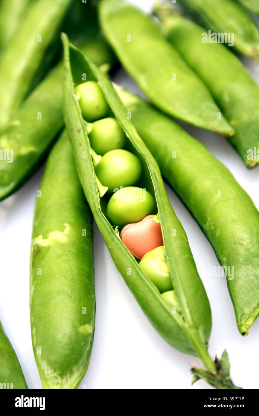 Bunch of pea pods Stock Photo - Alamy