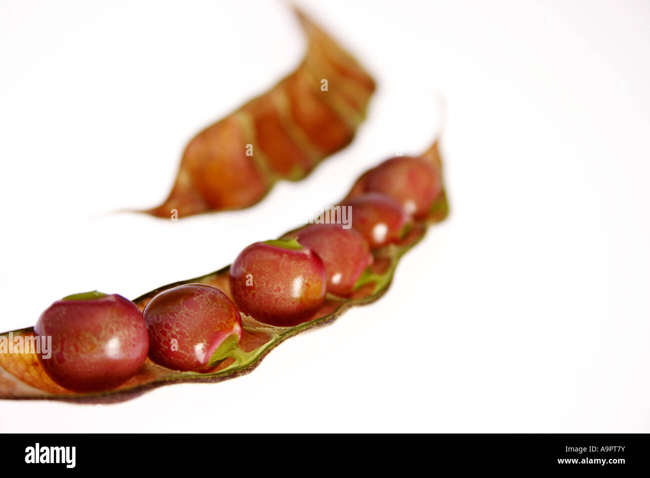 Open cut horizontal Cut Out Stock Images & Pictures - Alamy