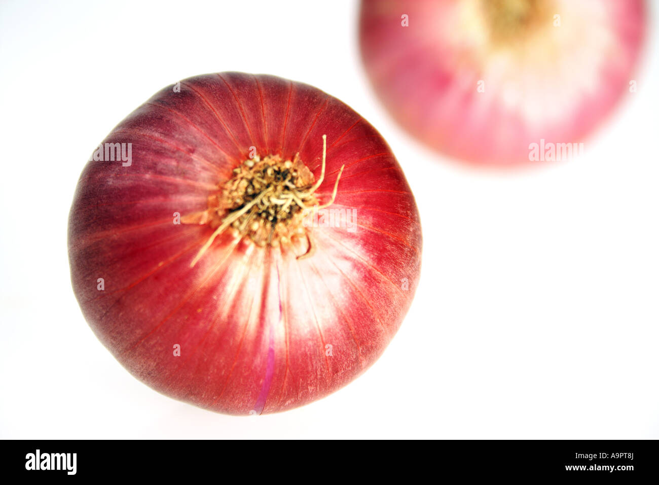 Close up of an onion Stock Photo - Alamy