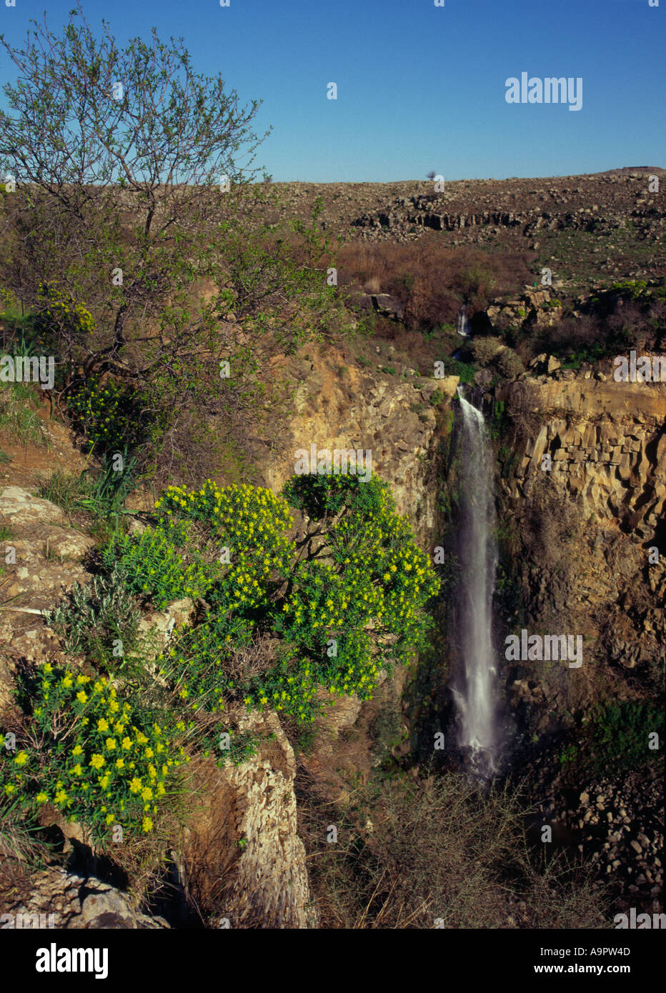 Israel Golan Heights Gamla nature reserve The waterfall view ...