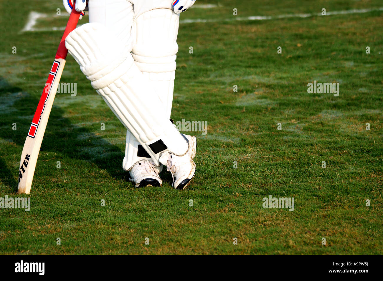 Partial view of a batsman standing lower section Stock Photo - Alamy