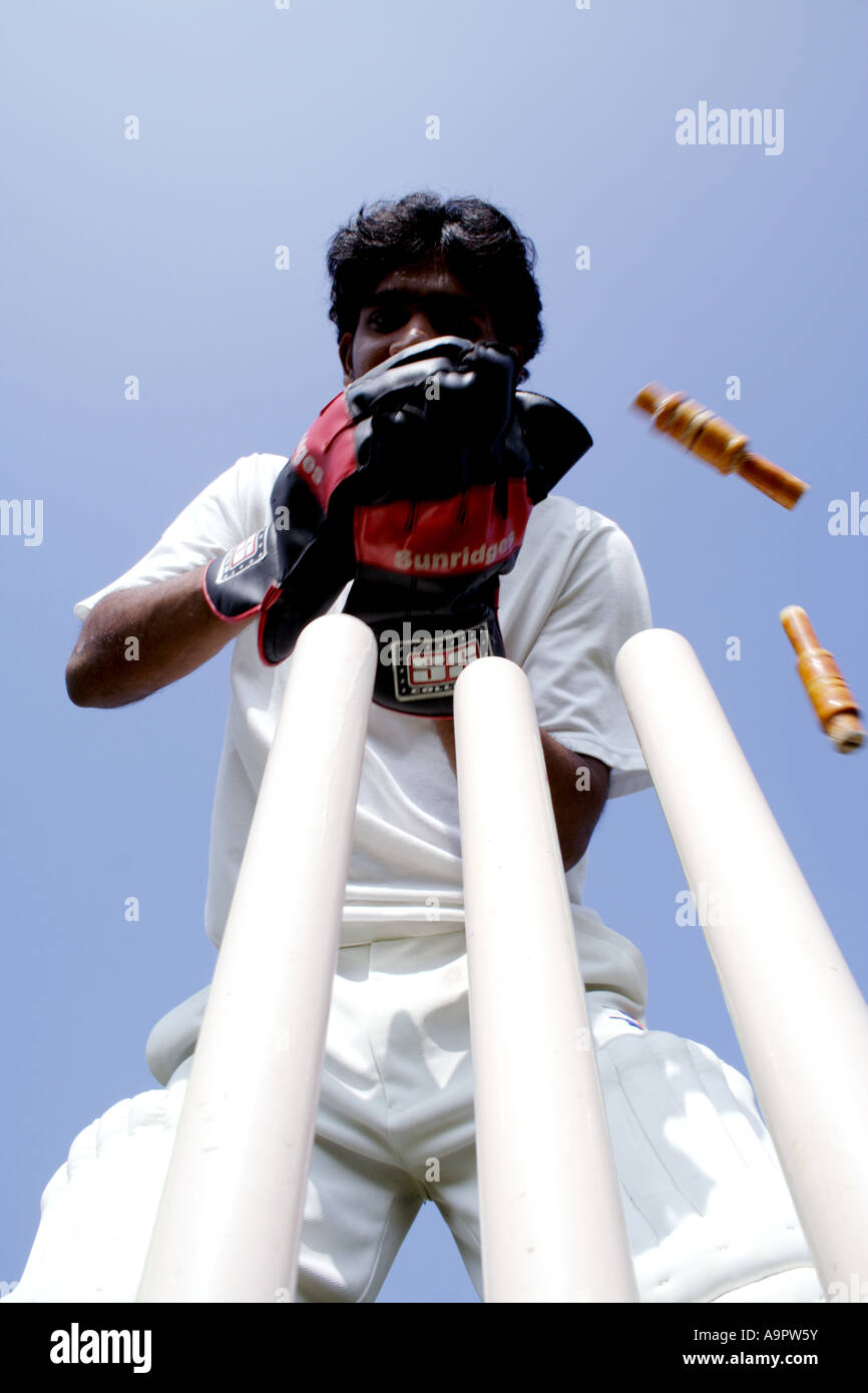 Wicket keeper dislodging the bails Stock Photo - Alamy