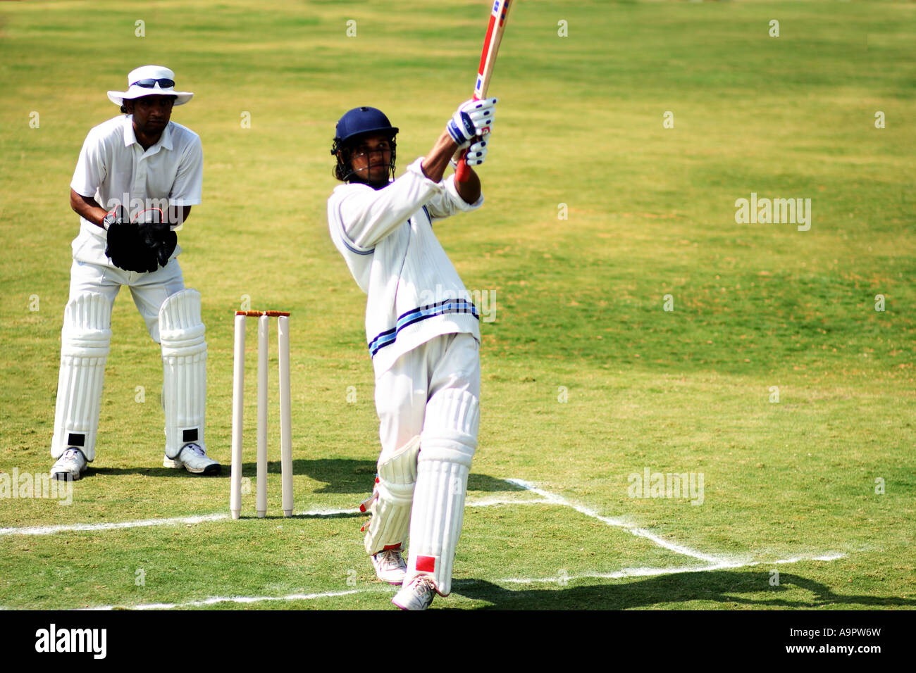 Cricketers on the field Stock Photo - Alamy