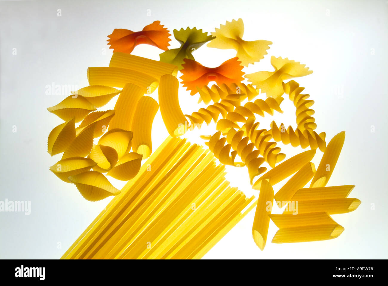 An arrangement of italian pastas arrayed on a lightbox to form a ...