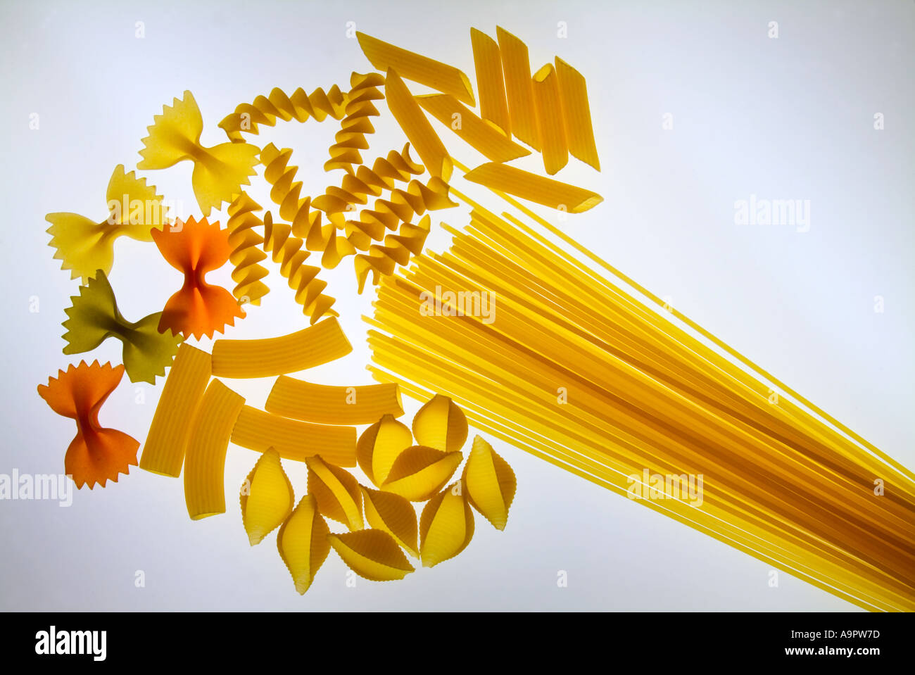 An arrangement of italian pastas arrayed on a lightbox to form a ...
