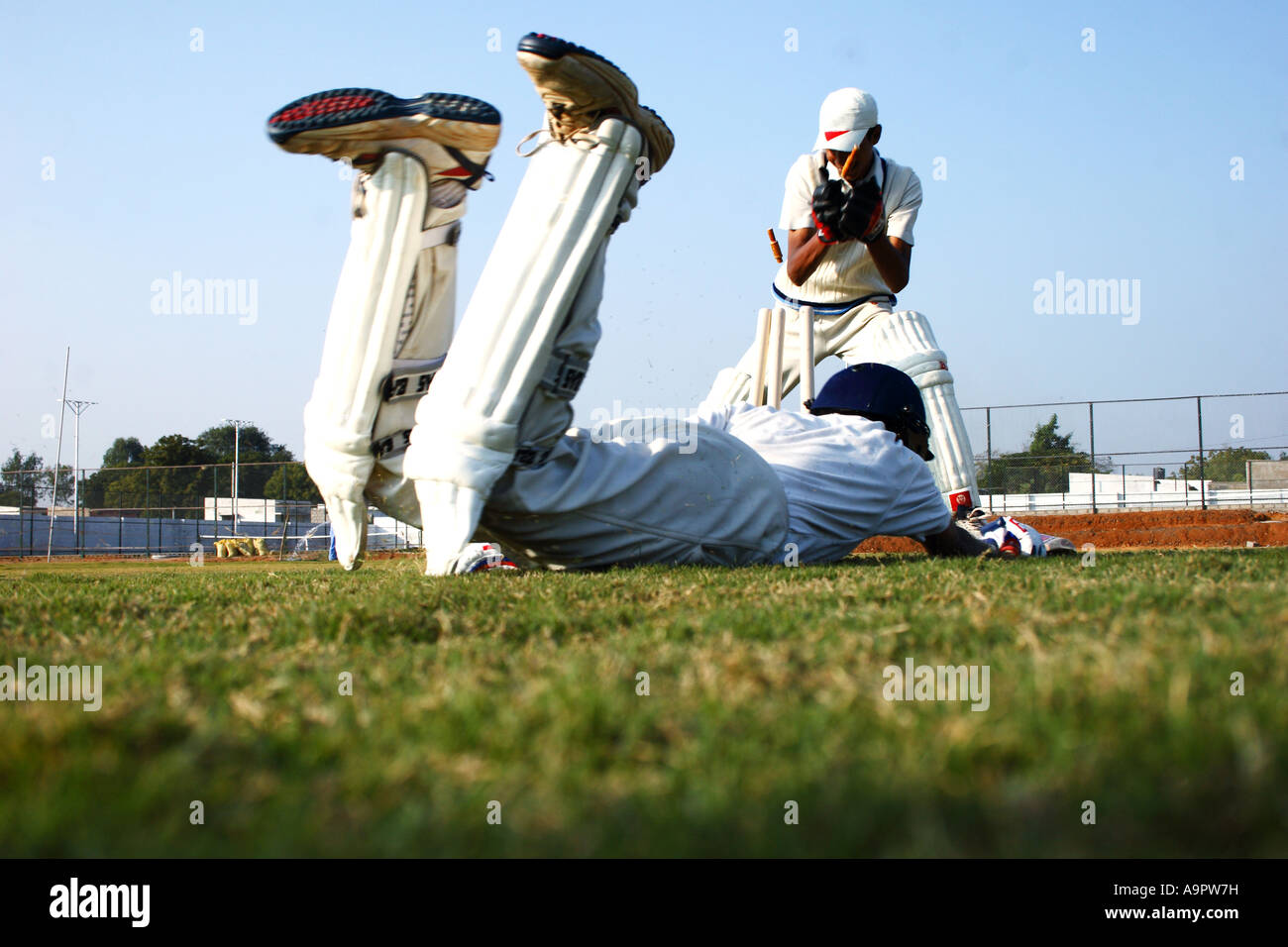 Batsman diving to avoid a run out Stock Photo - Alamy