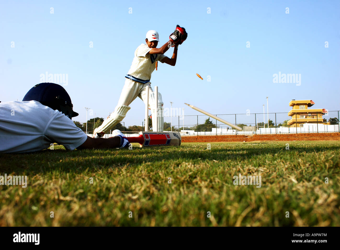 Wicket keeper diving hi-res stock photography and images - Alamy