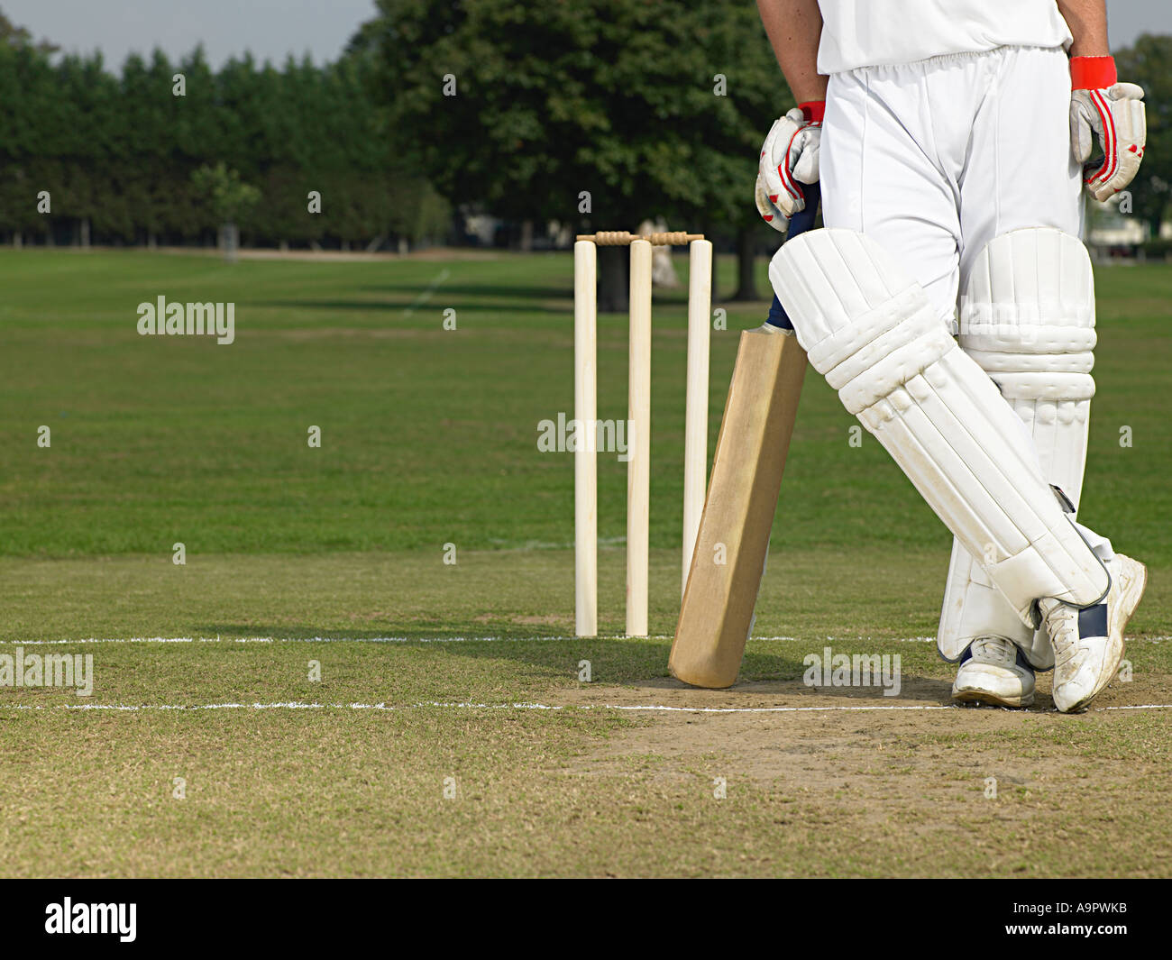 Cricket pad hi-res stock photography and images - Alamy