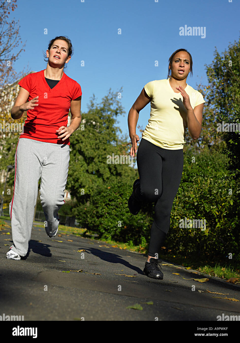 Jogging park multi ethnicity hi-res stock photography and images - Alamy