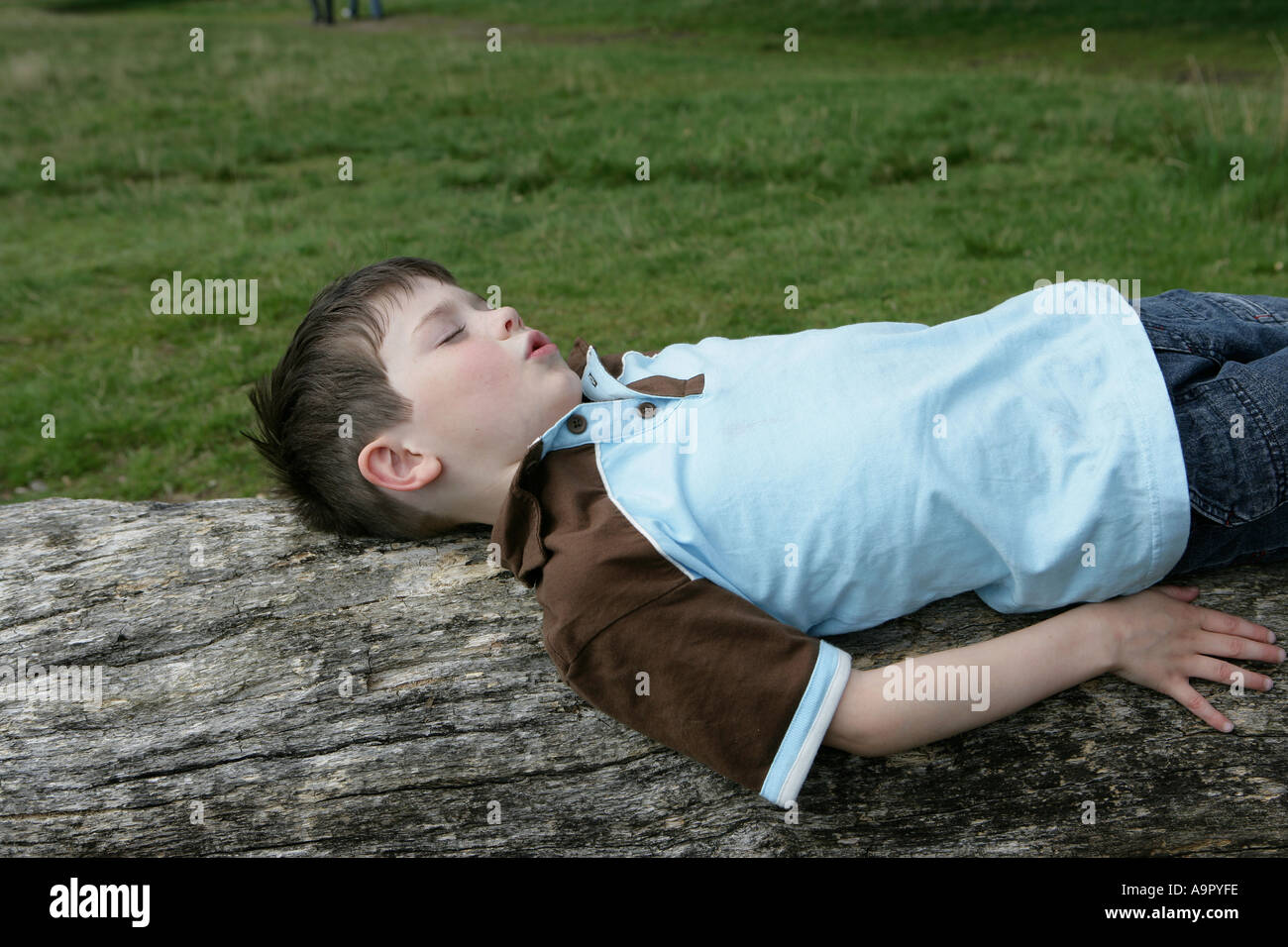 young boy having an afternoon snooze nap in park on trunk log tired ...