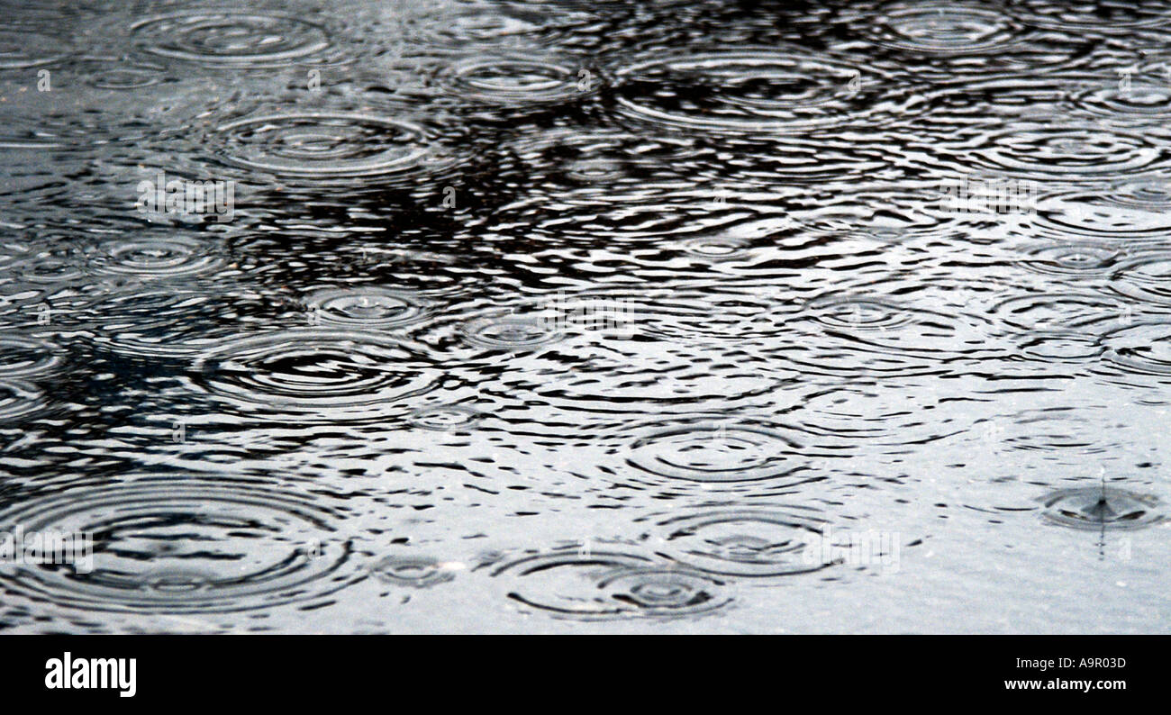 Rain Ripples