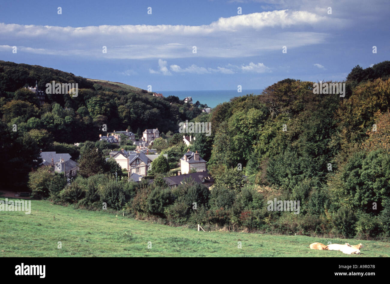 Small town in Normandy countryside with pasture Stock Photo - Alamy