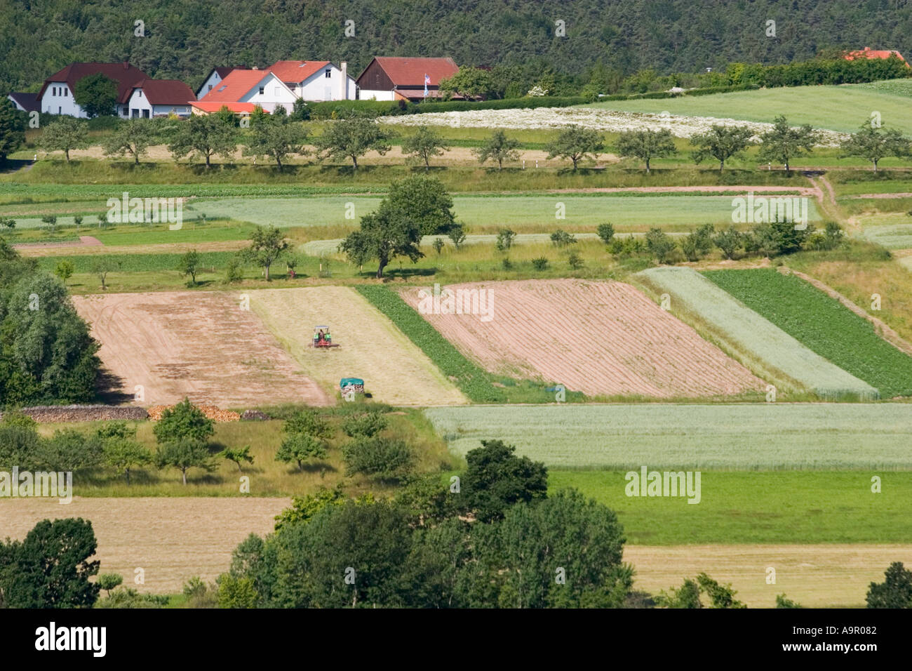 Waldberg hi-res stock photography and images - Alamy