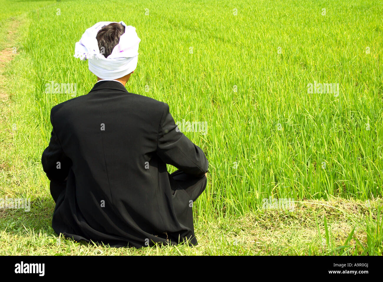 A businessman relaxing Stock Photo - Alamy