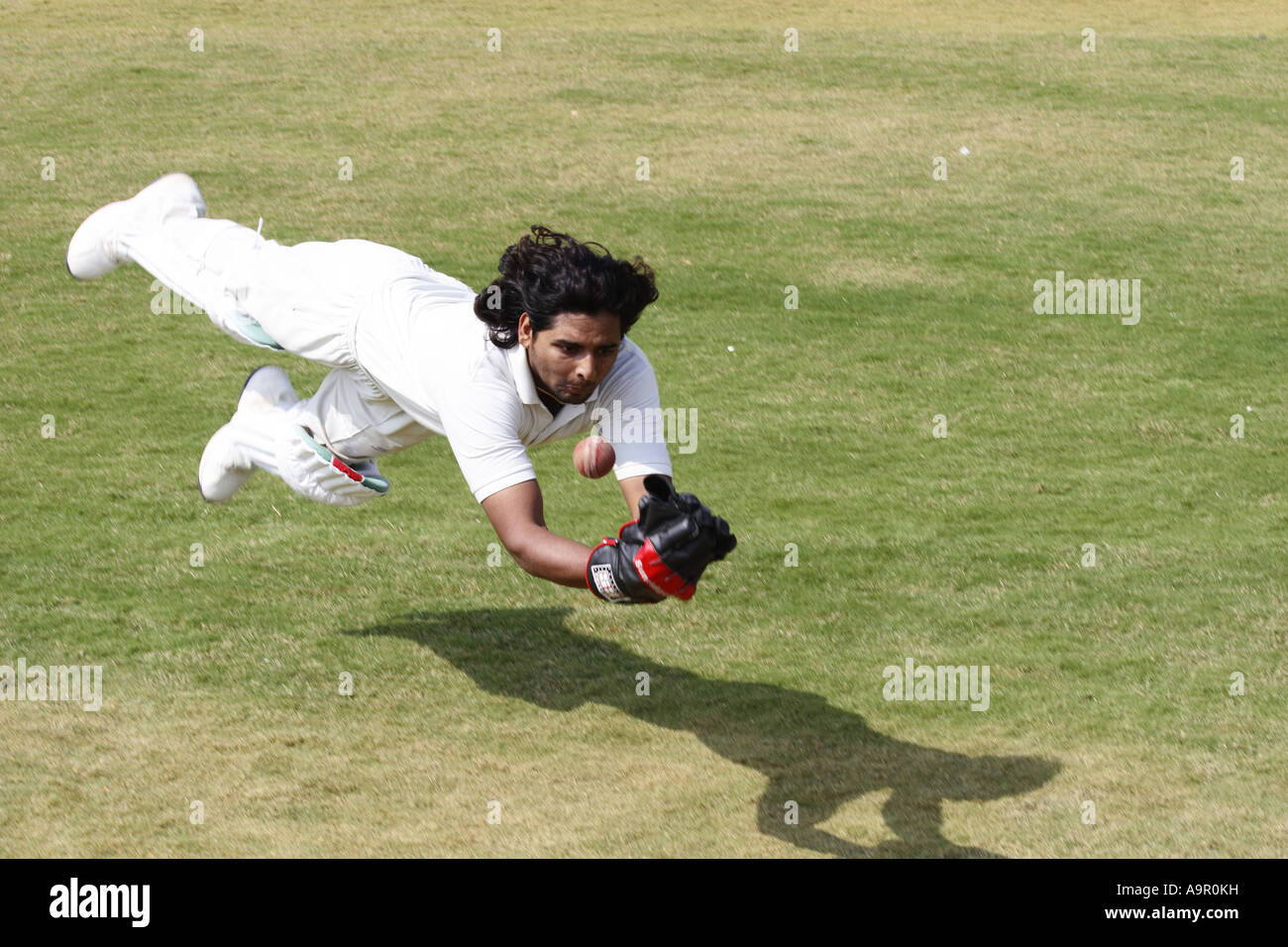 Fielder diving to take a catch Stock Photo - Alamy