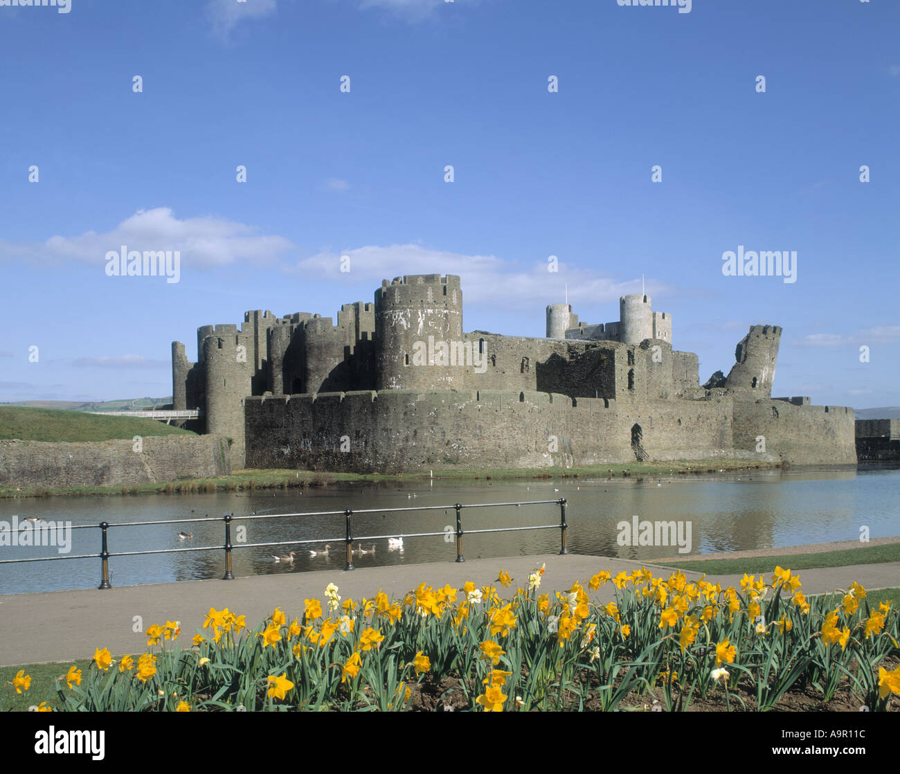 Castle moat daffodils hi-res stock photography and images - Alamy