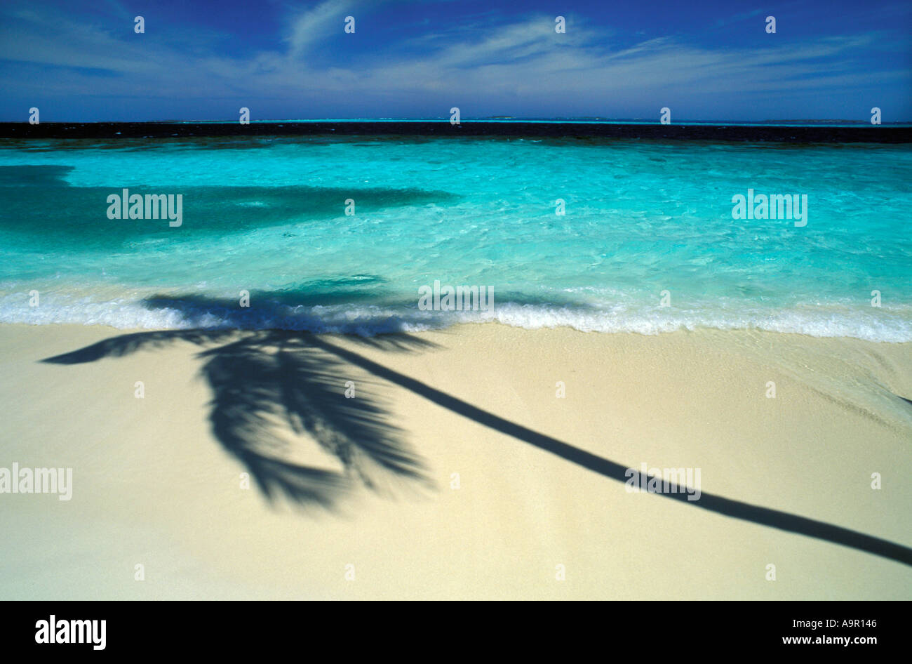 Palm tree casting shadow over sand and shore waves in Maldives Stock ...