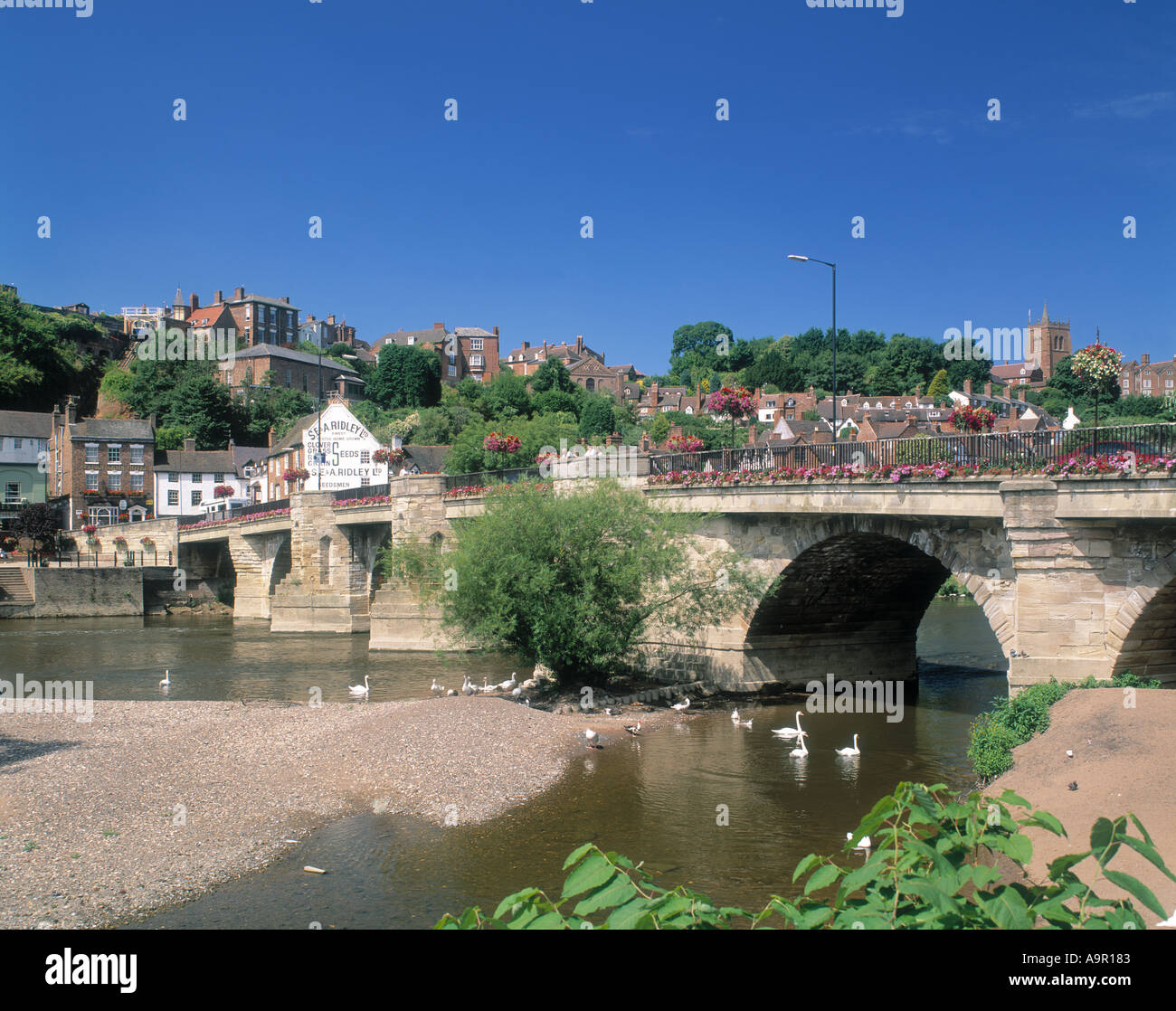 Landscape severn river trees hi-res stock photography and images - Alamy