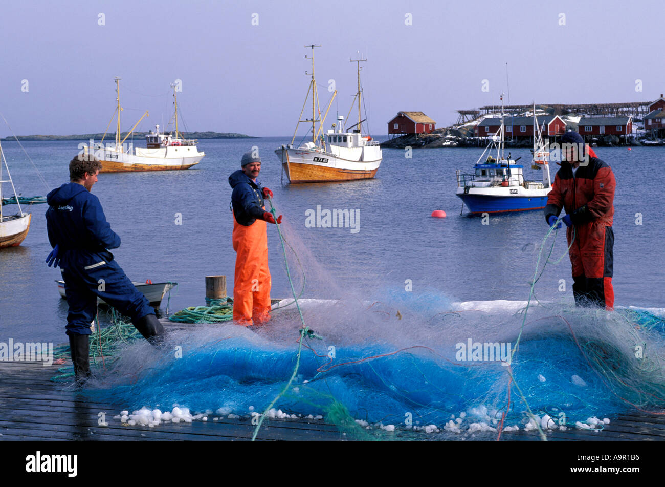 Fishermen laying out nets on docks in Lofoten Islands Stock Photo - Alamy