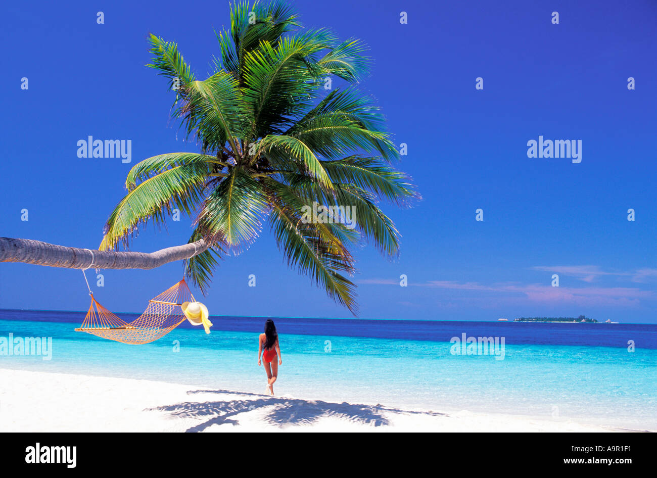 Woman alone with palm tree and hammock in paradise Stock Photo - Alamy