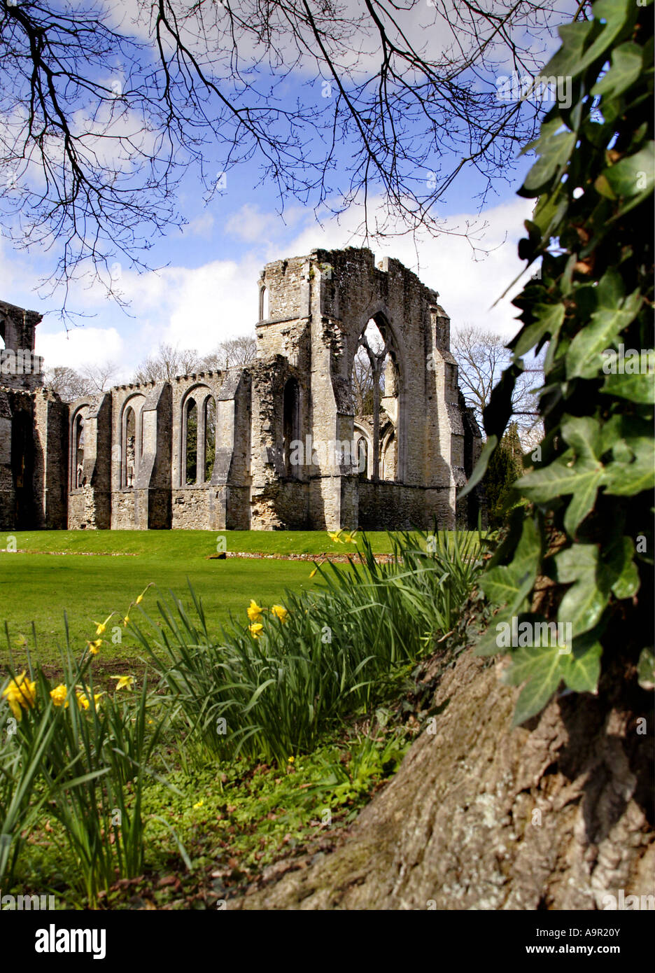 Netley abbey southampton hi-res stock photography and images - Alamy