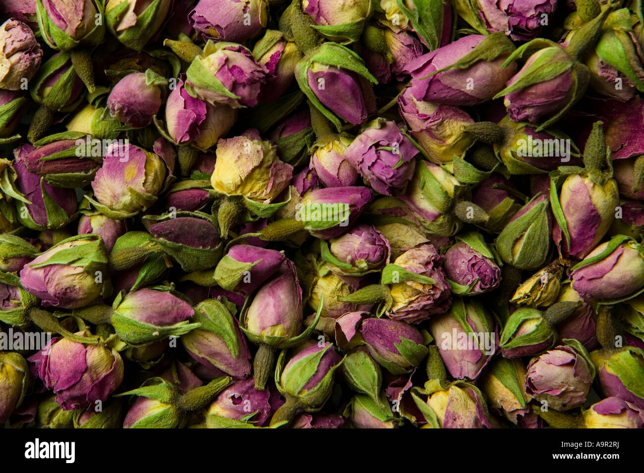 Dried Rose Buds Stock Photo - Alamy