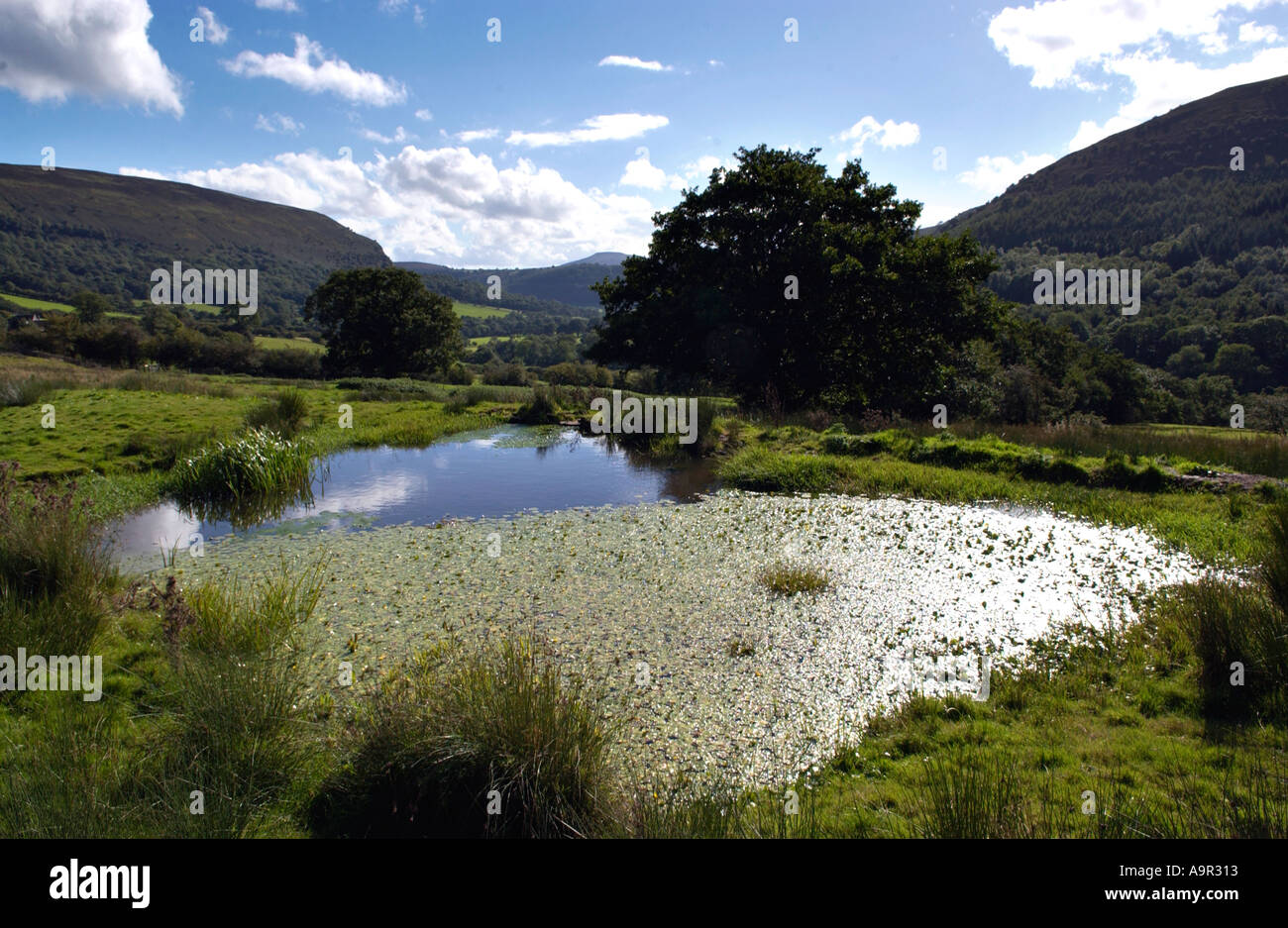 Llanthony Valley High Resolution Stock Photography and Images - Alamy