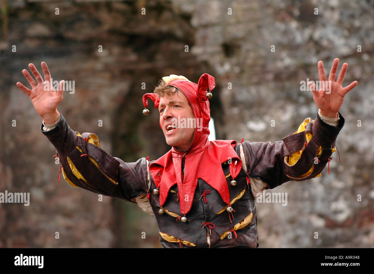 Court jester hi-res stock photography and images - Alamy