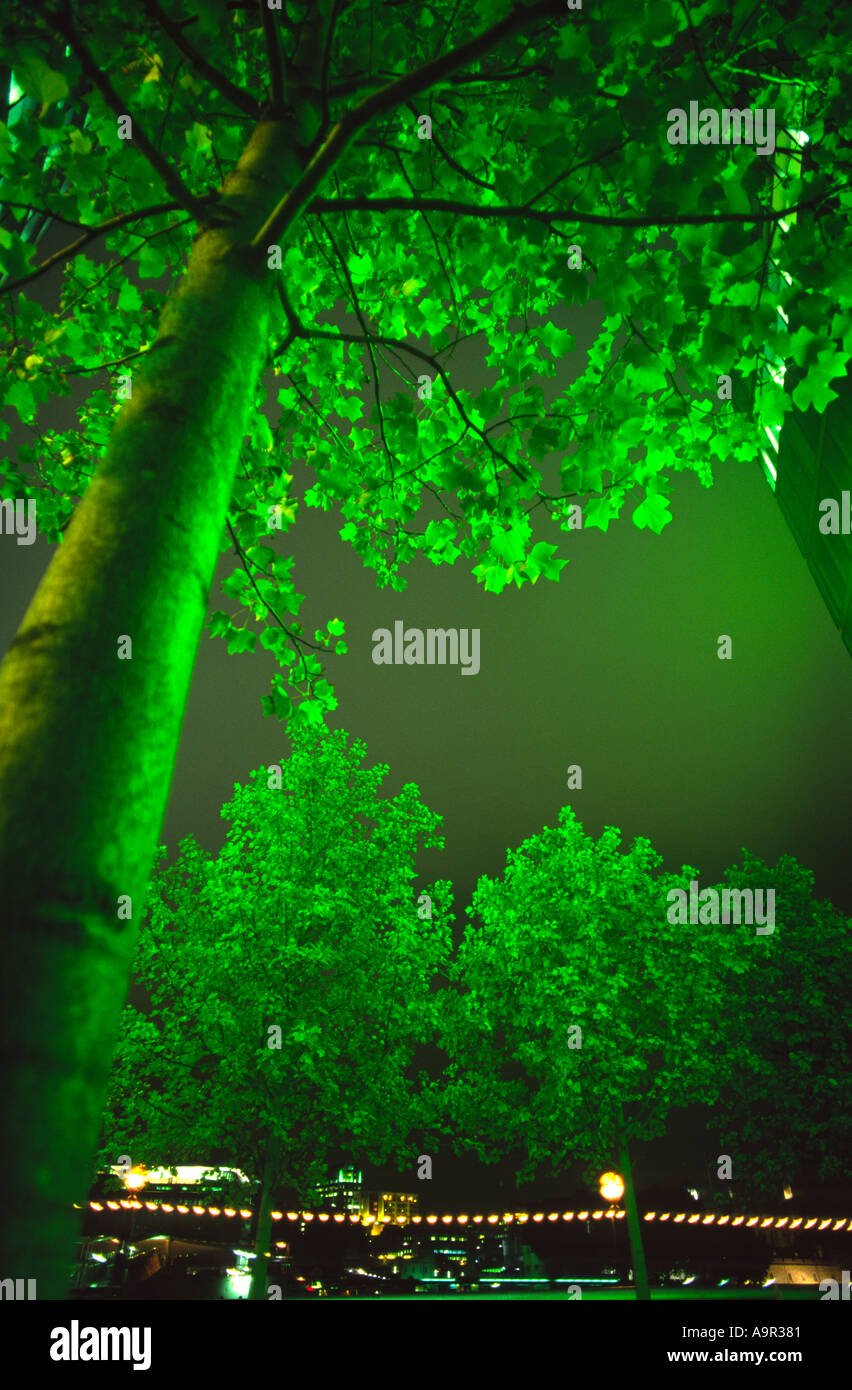 Green Trees Lit Up At Night In London England UK Stock Photo - Alamy