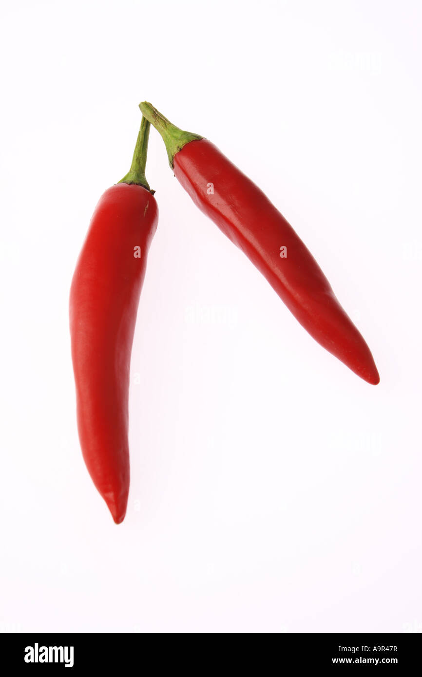 Two red chillis hi-res stock photography and images - Alamy