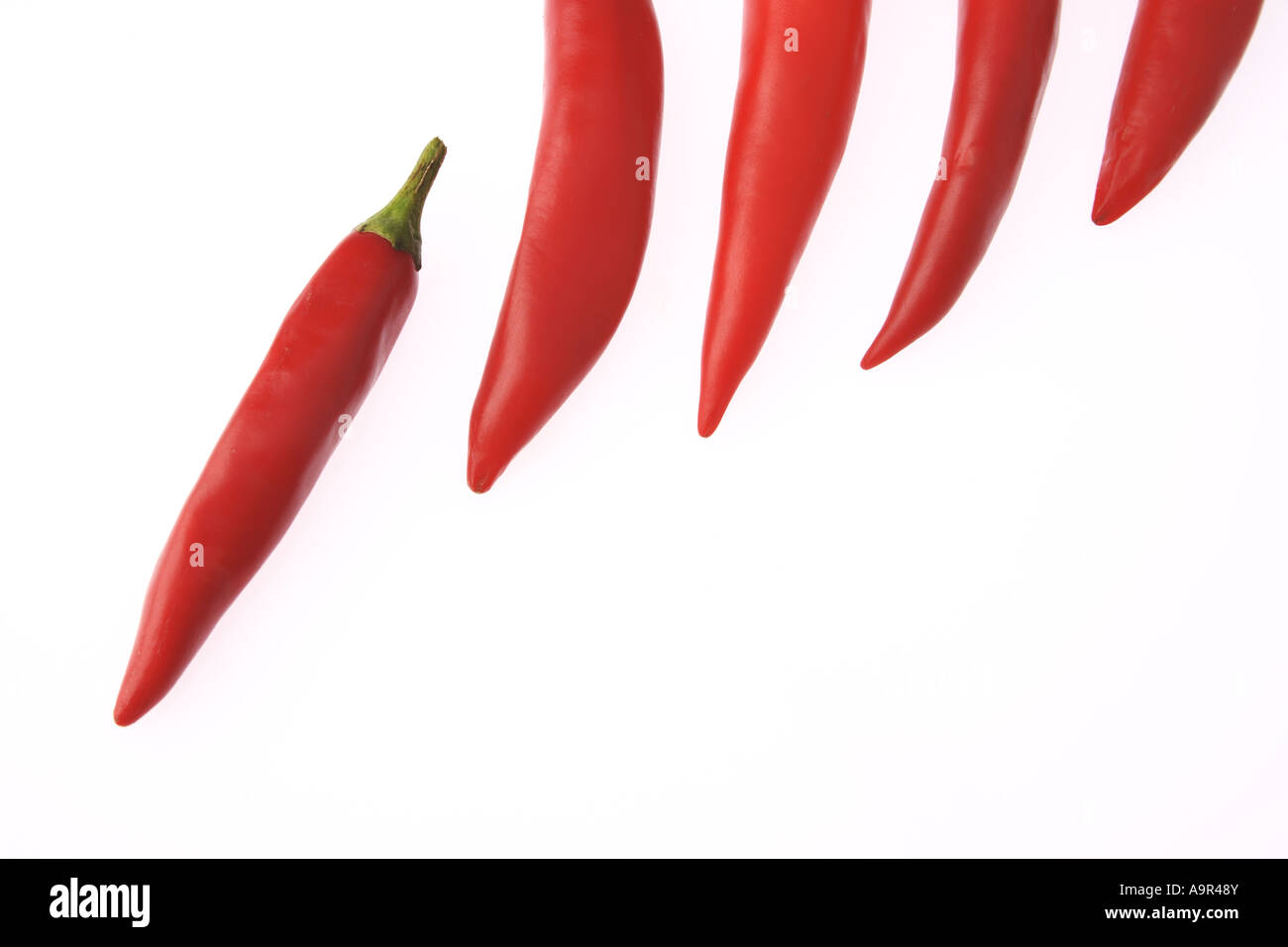 Close up of red chilli Stock Photo - Alamy