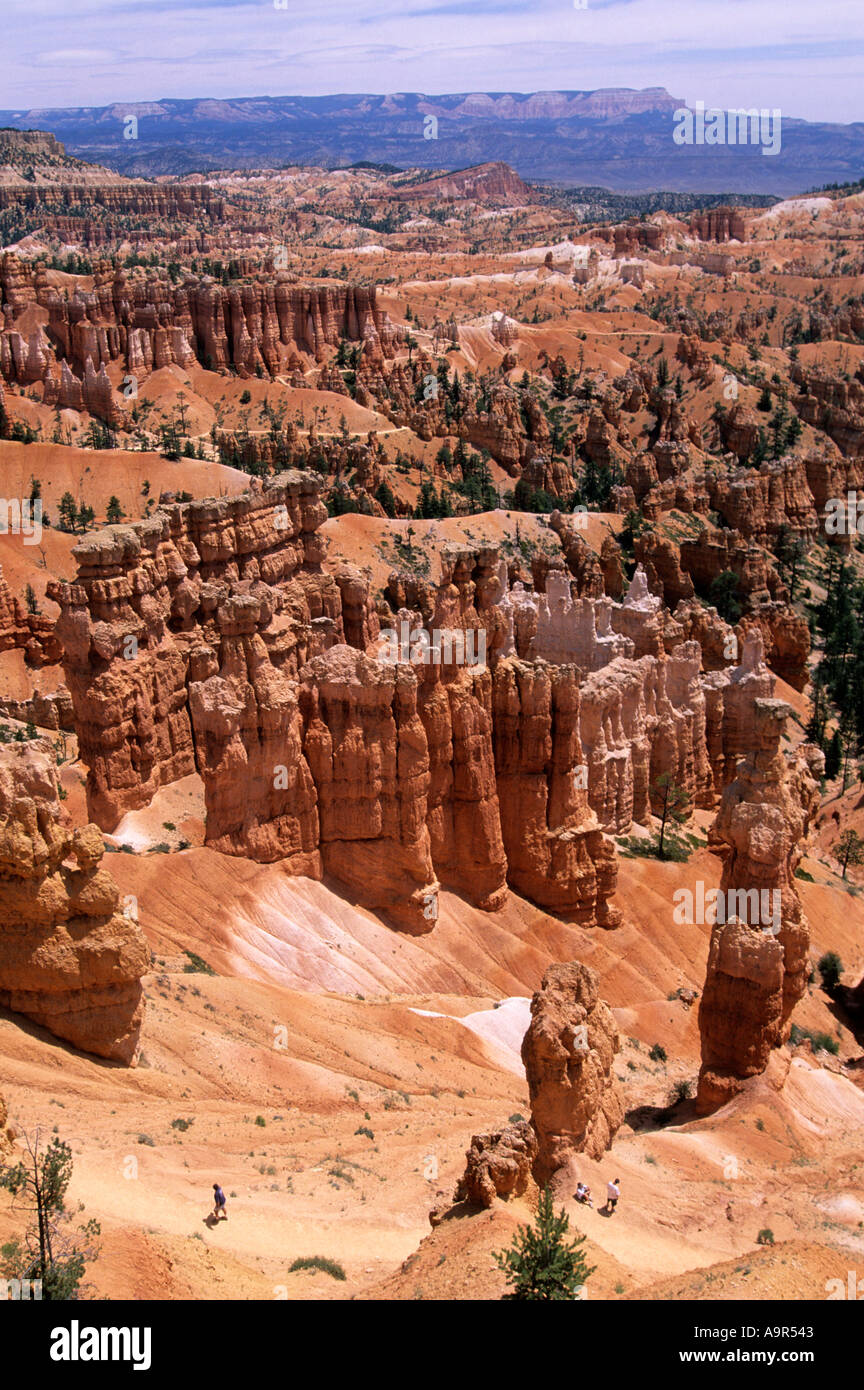 Bryce National Park, Utah.View from Bryce Point Stock Photo - Alamy