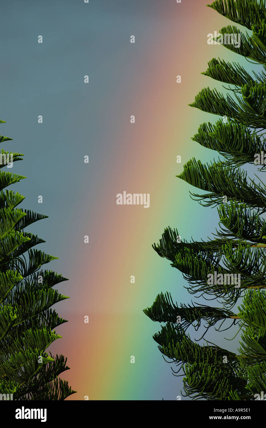 Rainbow and trees Stock Photo - Alamy